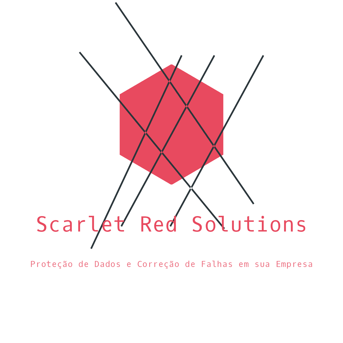 Scarlet Red Solutions - Digital Investigation & Cybersecurity
